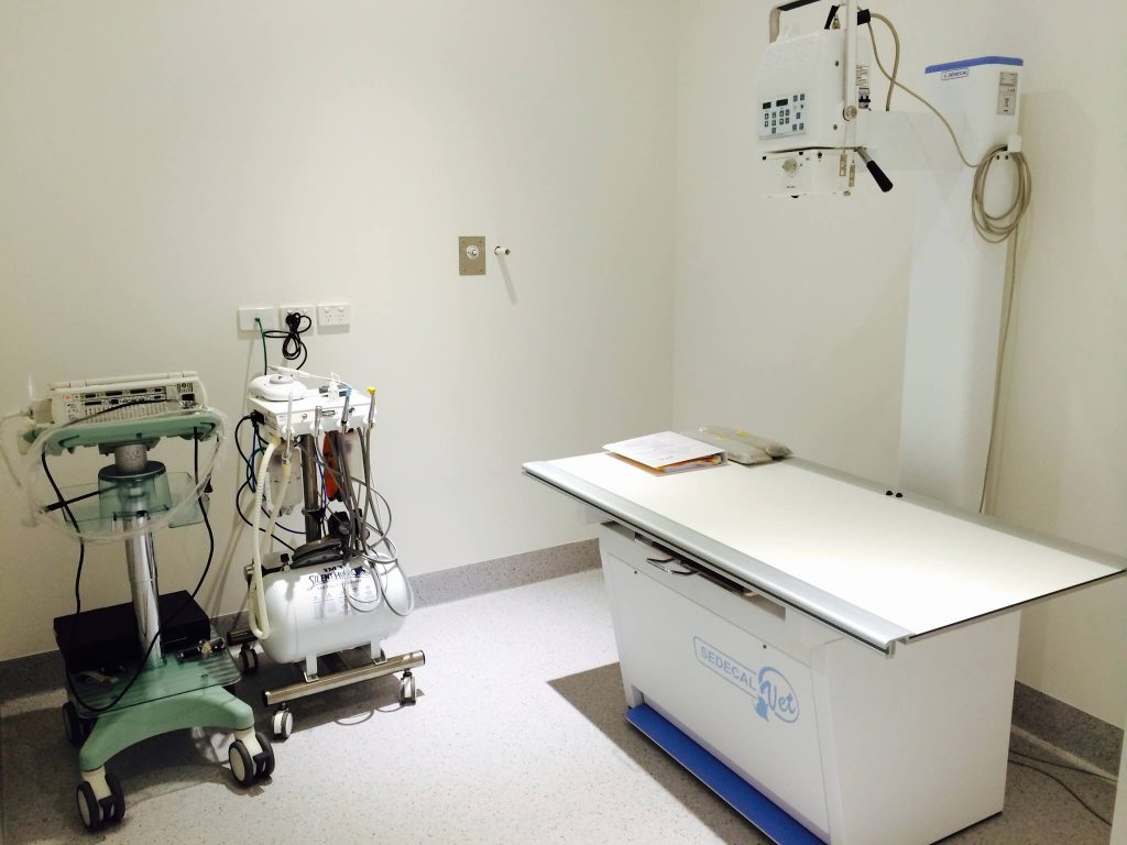 Imaging room | The Dog Clinic Hobart